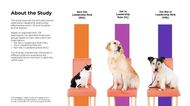 Veterinarian-Leadership Relationships in Animal Shelters - JVR Strategies